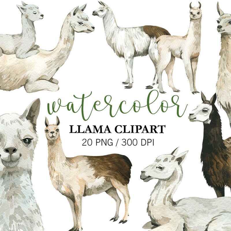 Llama Watercolor - Etsy