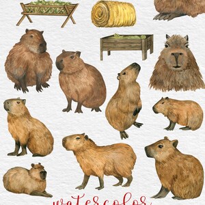 Watercolor Capybara Clipart, Nursery Decor, Animal Clipart, Baby ...