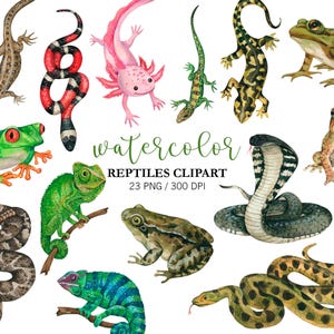 Watercolor Reptile Clipart: Hand-drawn Frogs, Snakes, Lizards (PNG ...
