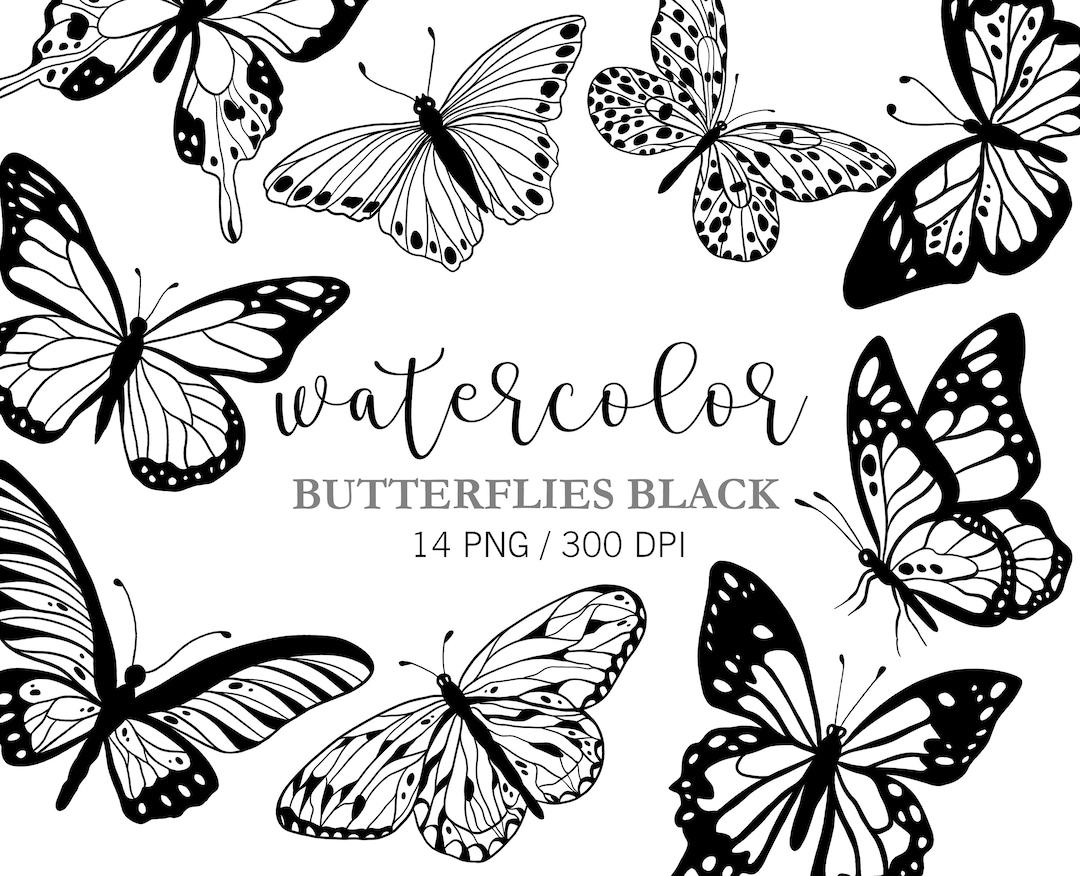 Black Line Butterflies Clipart, Butterfly Clipart, Butterfly Graphics ...
