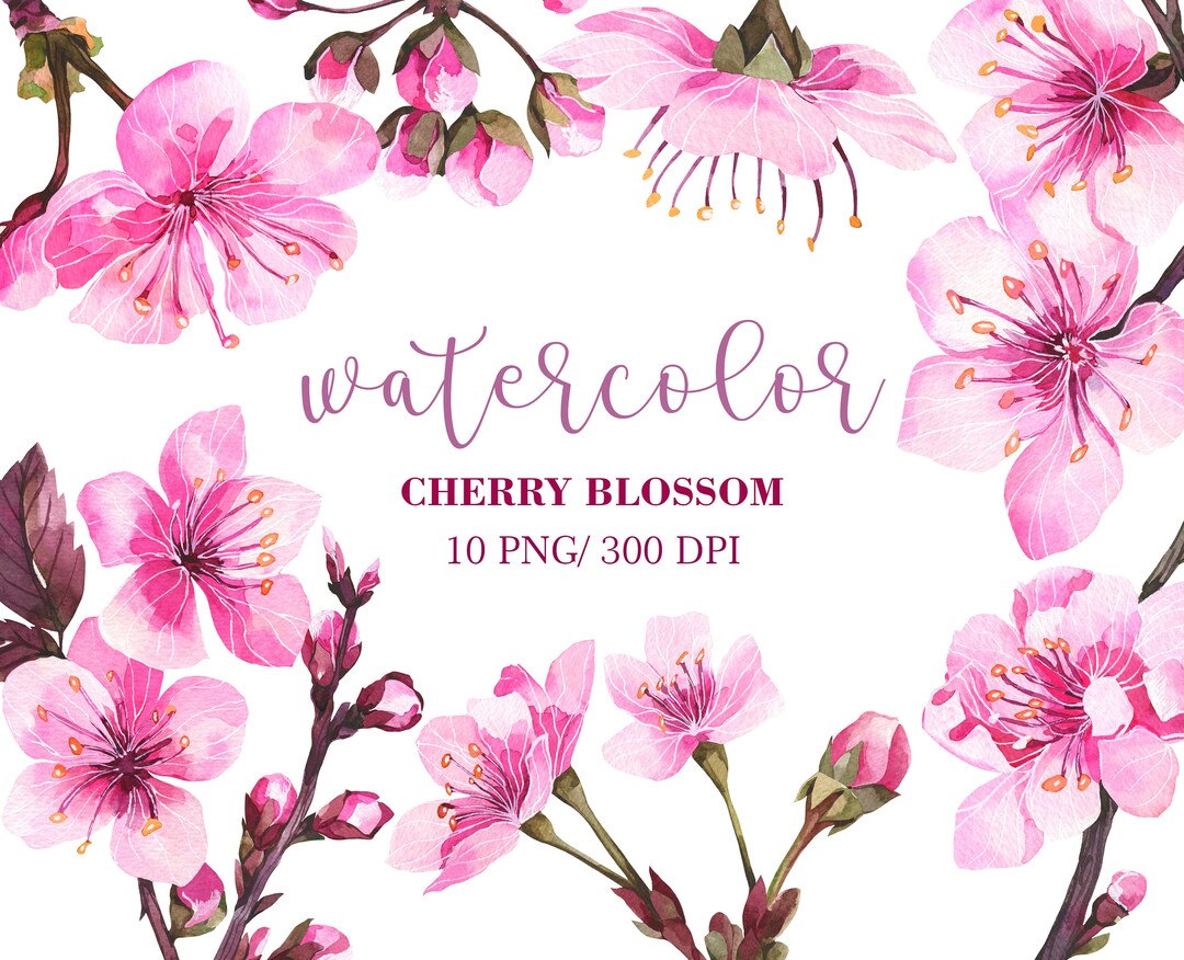 Watercolor Cherry Blossom Clip Art, Cherry Branches, Watercolor Floral ...