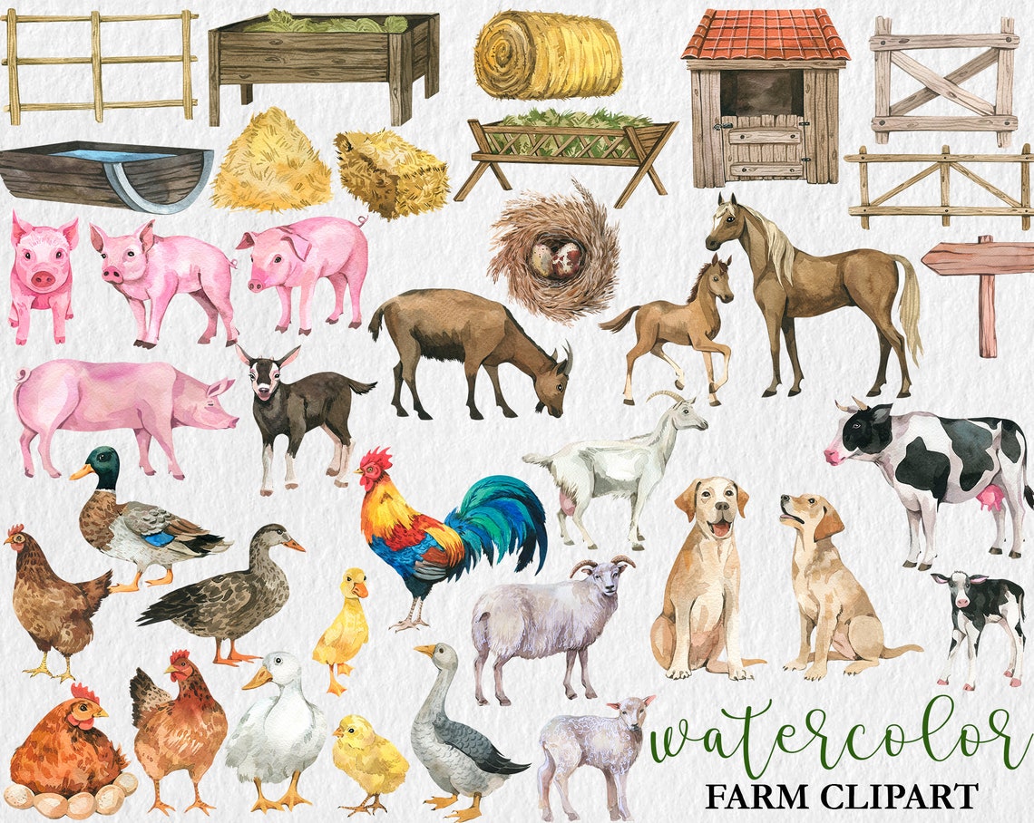 Watercolor Farm Animals Clipart Animal Clipart Nursery - Etsy