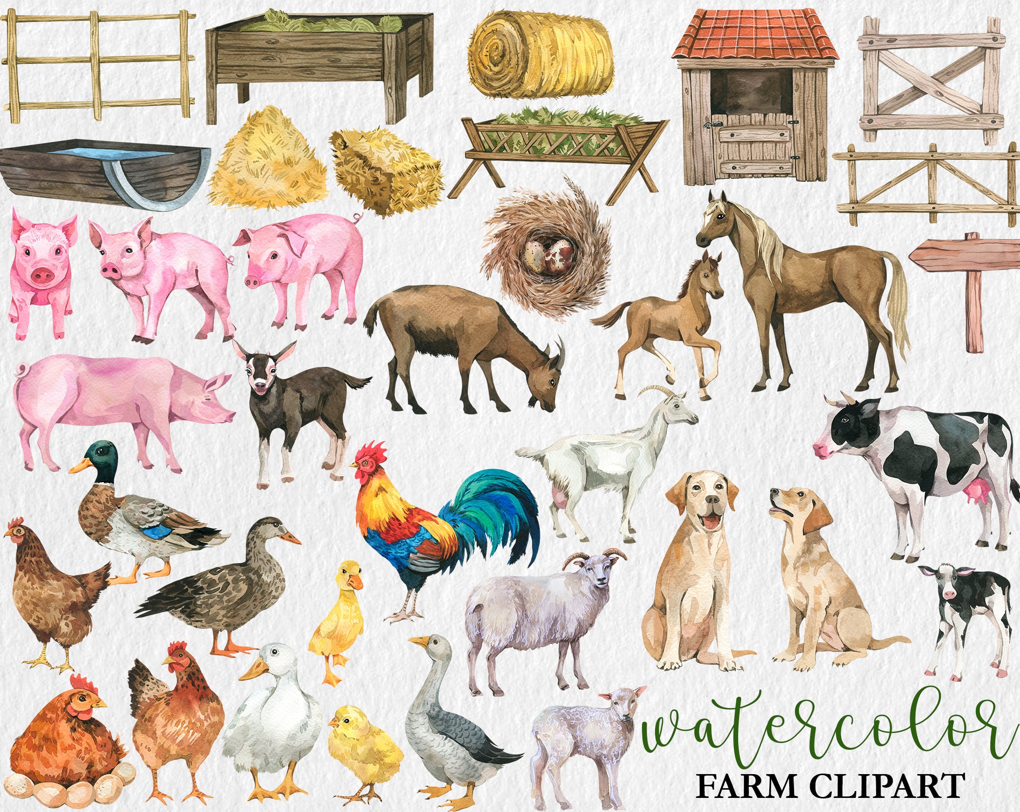 Watercolor Farm Animals Clipart Animal Clipart Nursery - Etsy