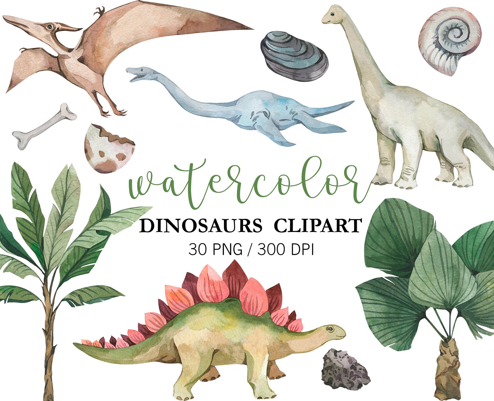 Watercolor Dinosaur Clipart, Dinosaur Clipart, Nursery Clipart, PNG ...