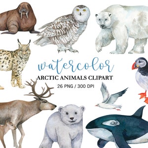 Watercolor Arctic Animals Clipart Winter Animals, Polar Animals ...