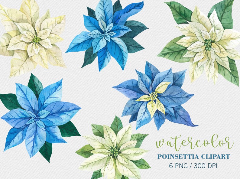 Watercolor Christmas Clipart Watercolor Poinsettia Christmas | Etsy