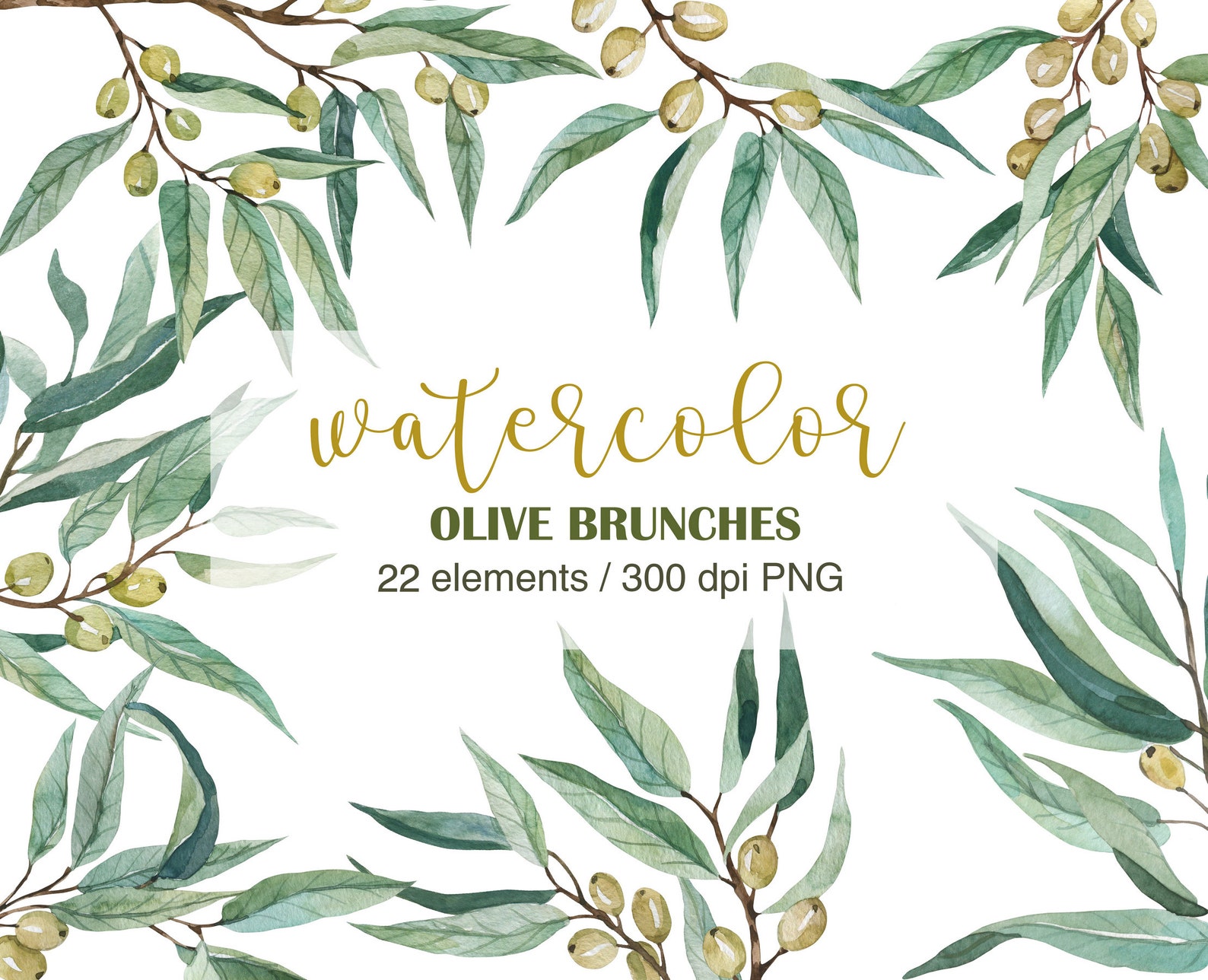 Watercolor Olive Clipart, Olive Greenery Clipart, Olive Frames, Olive ...