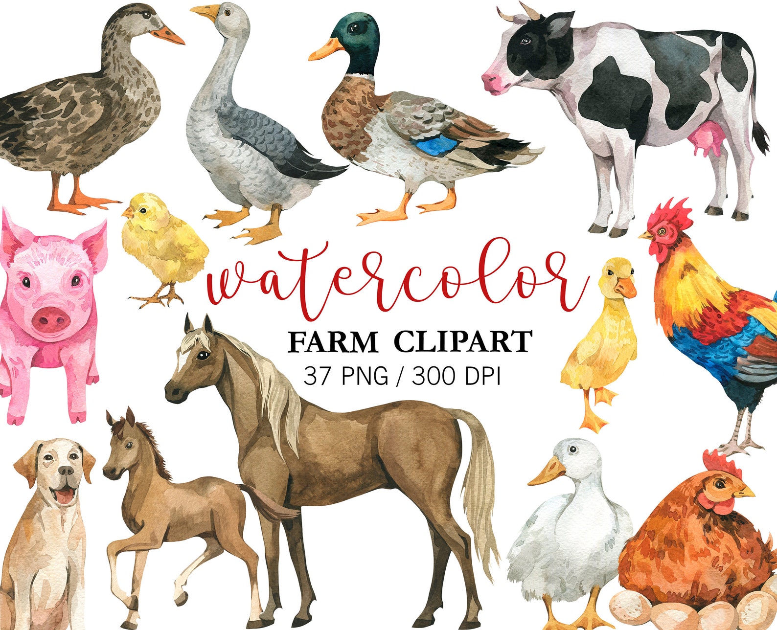 Watercolor Farm Animals Clipart Animal Clipart Nursery - Etsy