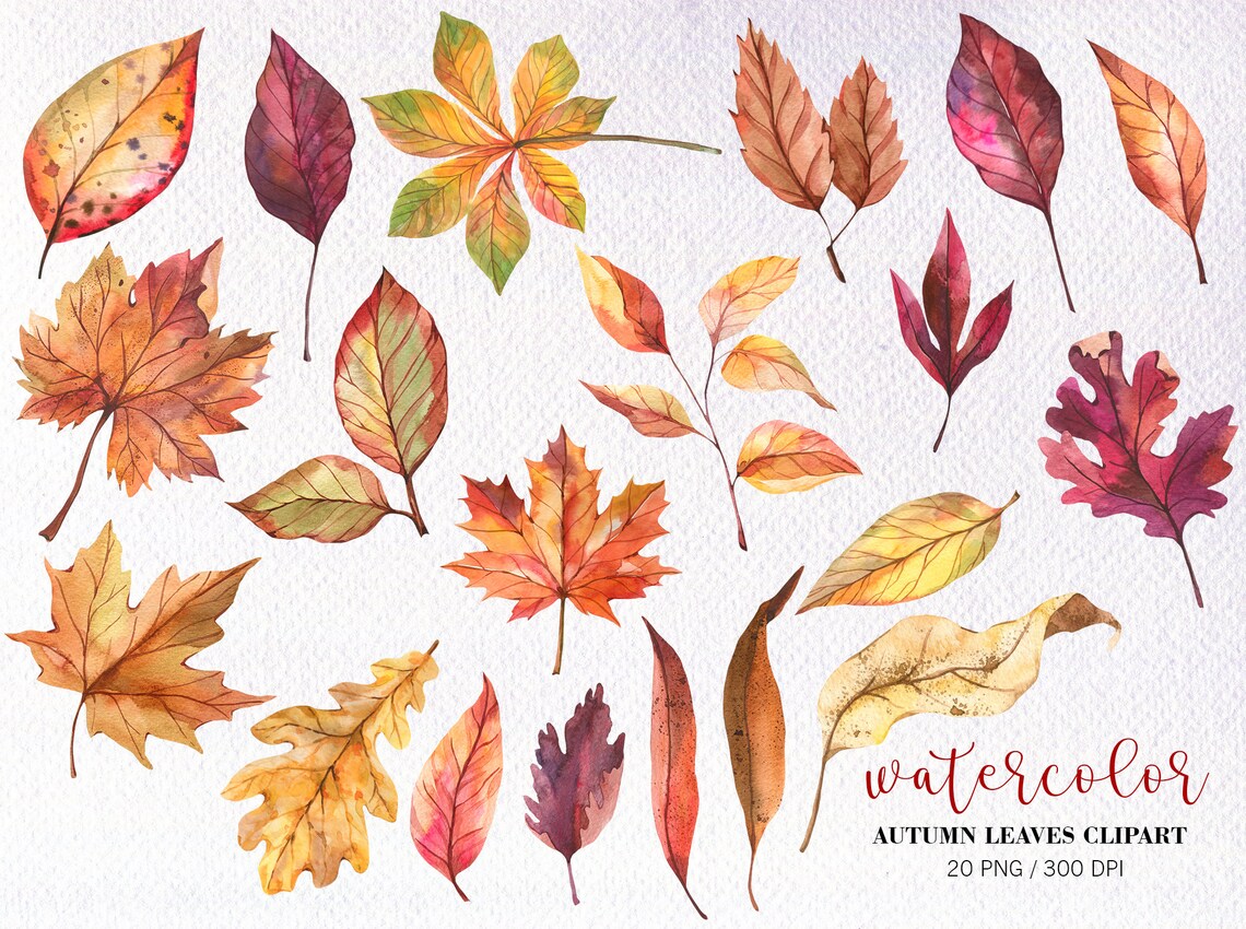 Watercolor Fall Leaves Clipart Fall Clipart Autumn Decor - Etsy