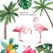 Watercolor Hawaii Clipart Summer Clipart PNG Tropical - Etsy