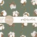 Watercolor Cotton Seamless Pattern Cotton Plant Pattern - Etsy