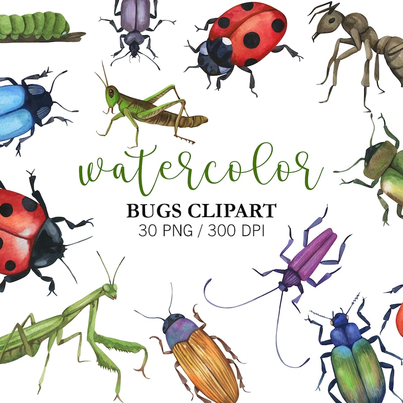 Watercolor Insects - Etsy
