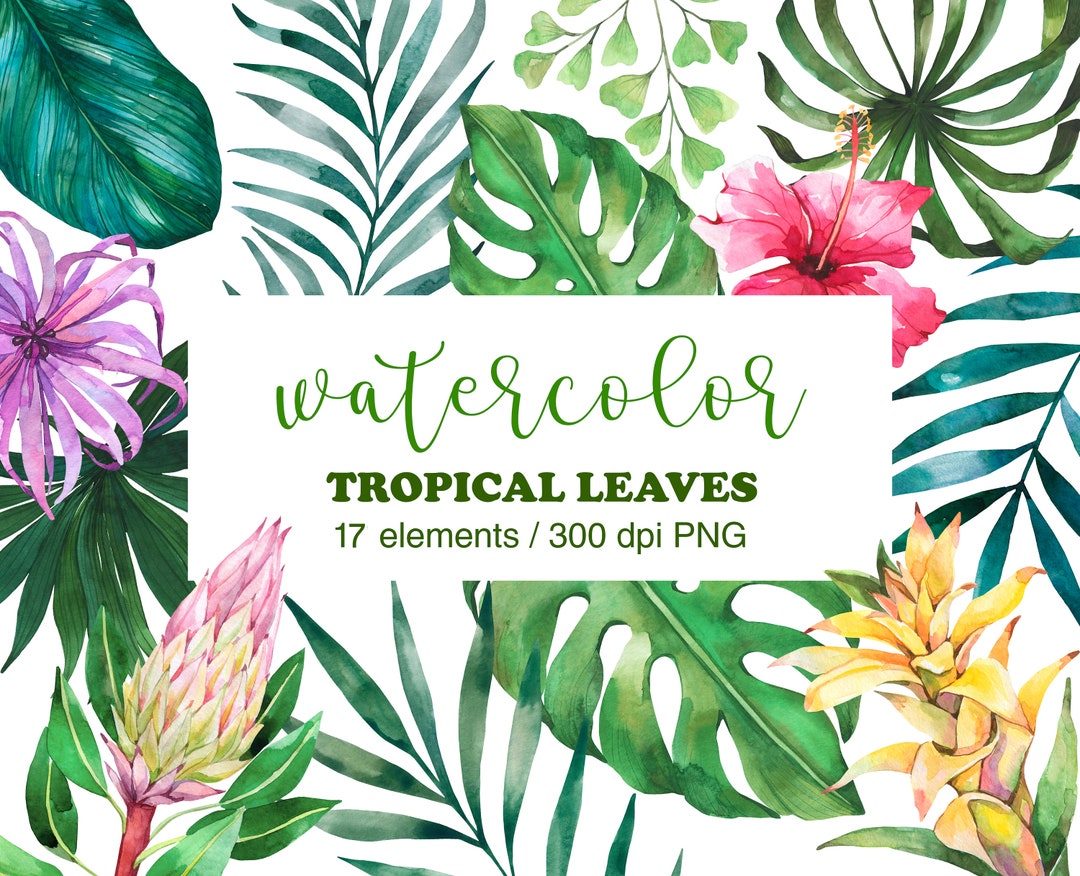 Watercolor Tropical Leaves Clipart, Tropical Clipart, PNG, Jungle ...