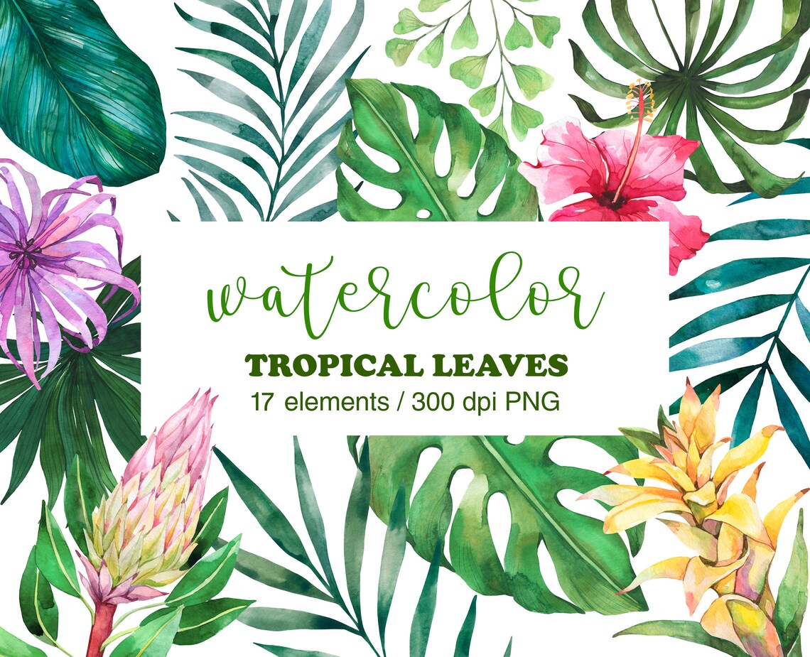 Watercolor Tropical Leaves Clipart Tropical Clipart PNG - Etsy