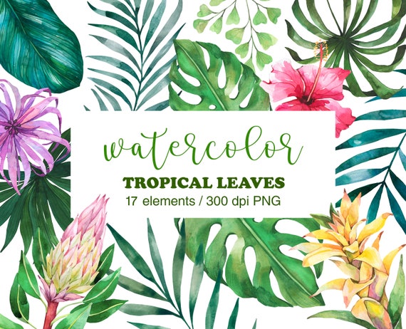Watercolor Tropical Leaves Clipart Tropical Clipart PNG - Etsy
