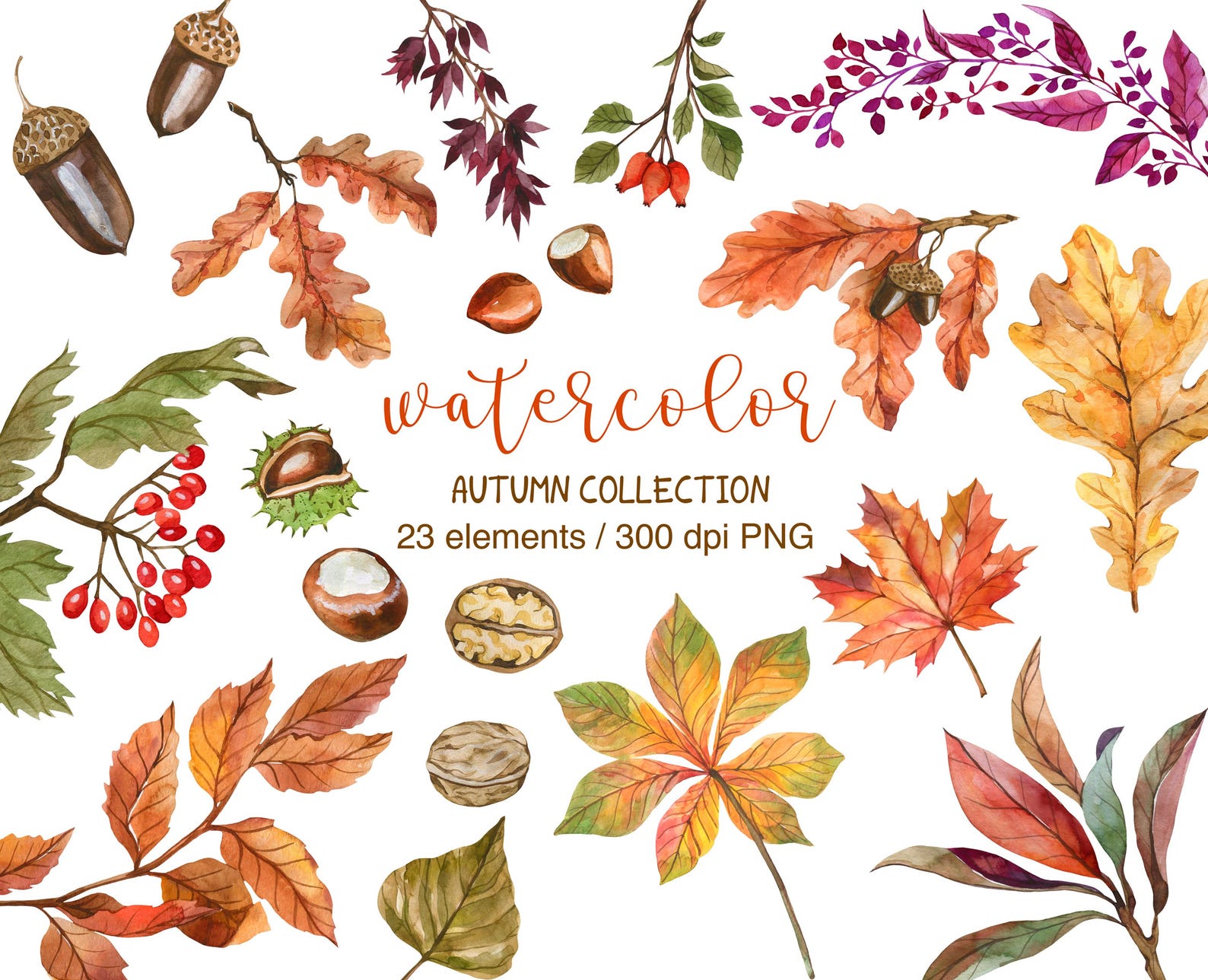Autumn Watercolor Clipart, Autumn Leaves Clipart, PNG, Watercolor ...