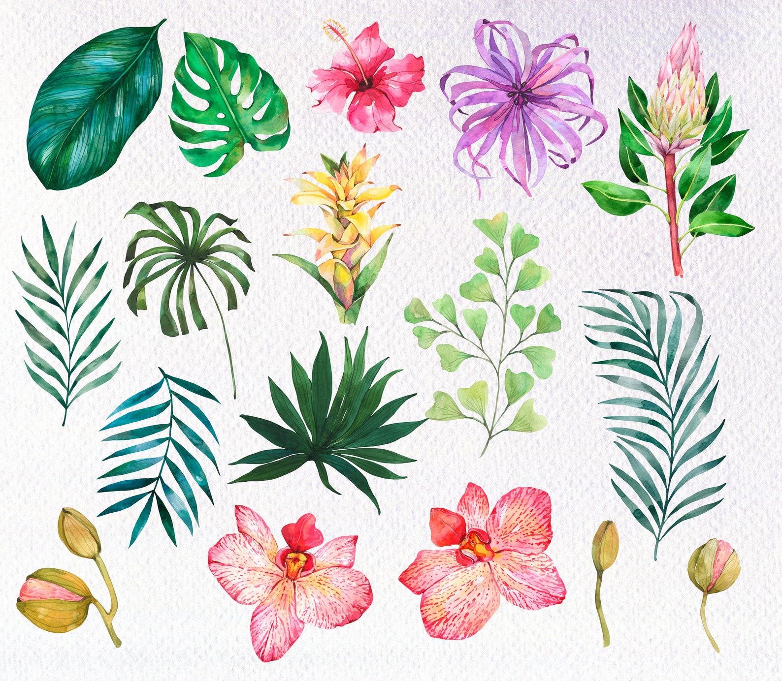 Watercolor Tropical Leaves Clipart Tropical Clipart PNG - Etsy
