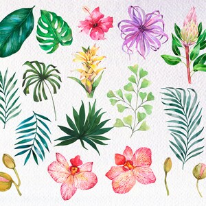Watercolor Tropical Leaves Clipart, Tropical Clipart, PNG, Jungle ...