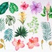 Watercolor Tropical Leaves Clipart, Tropical Clipart, PNG, Jungle ...