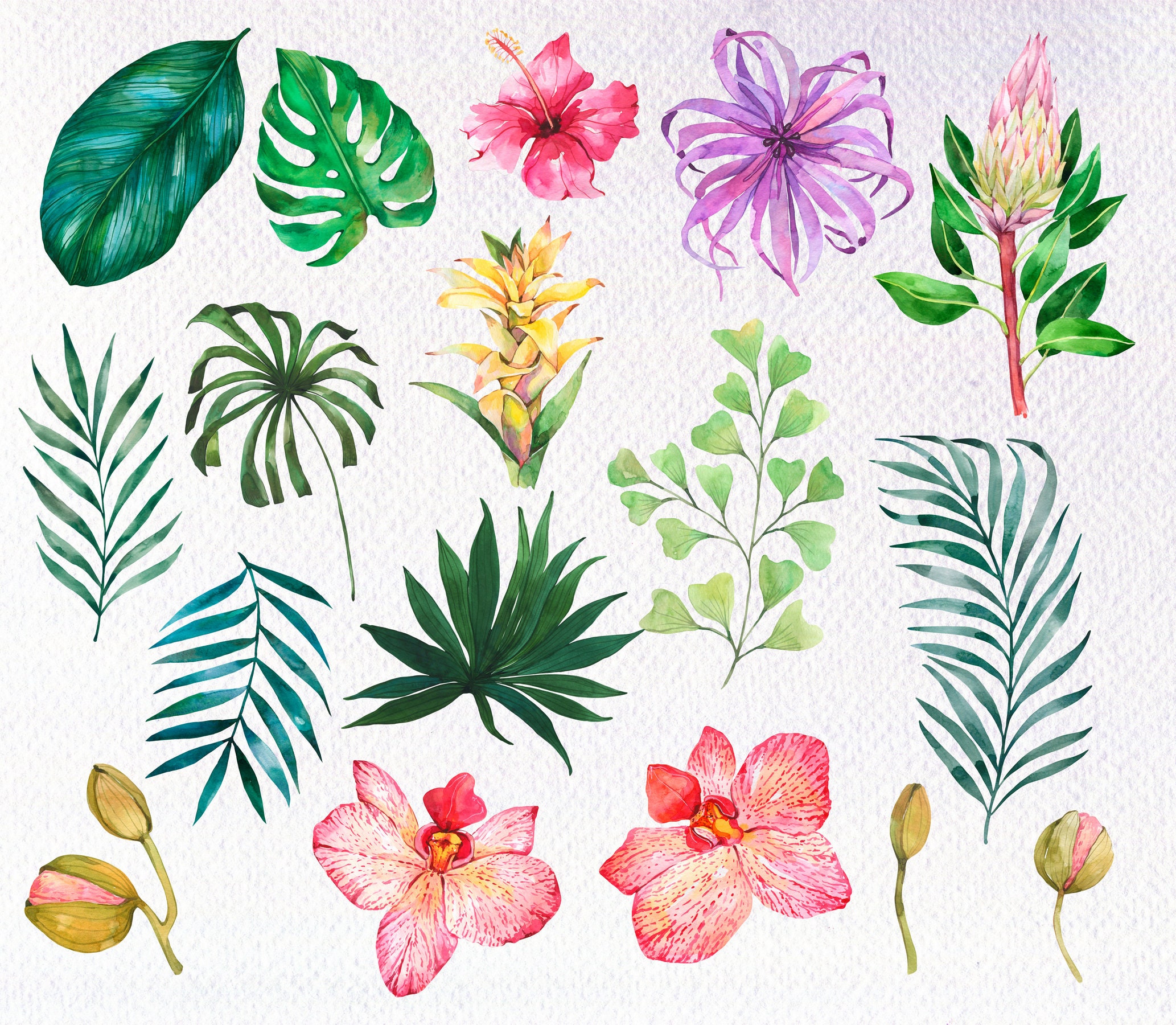 Watercolor Tropical Leaves Clipart Tropical Clipart PNG - Etsy