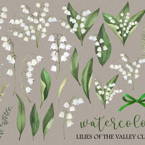 Watercolor Lily of the Valley Clipart, Floral Clipart, Watercolor Flowers Clipart, Wedding ...
