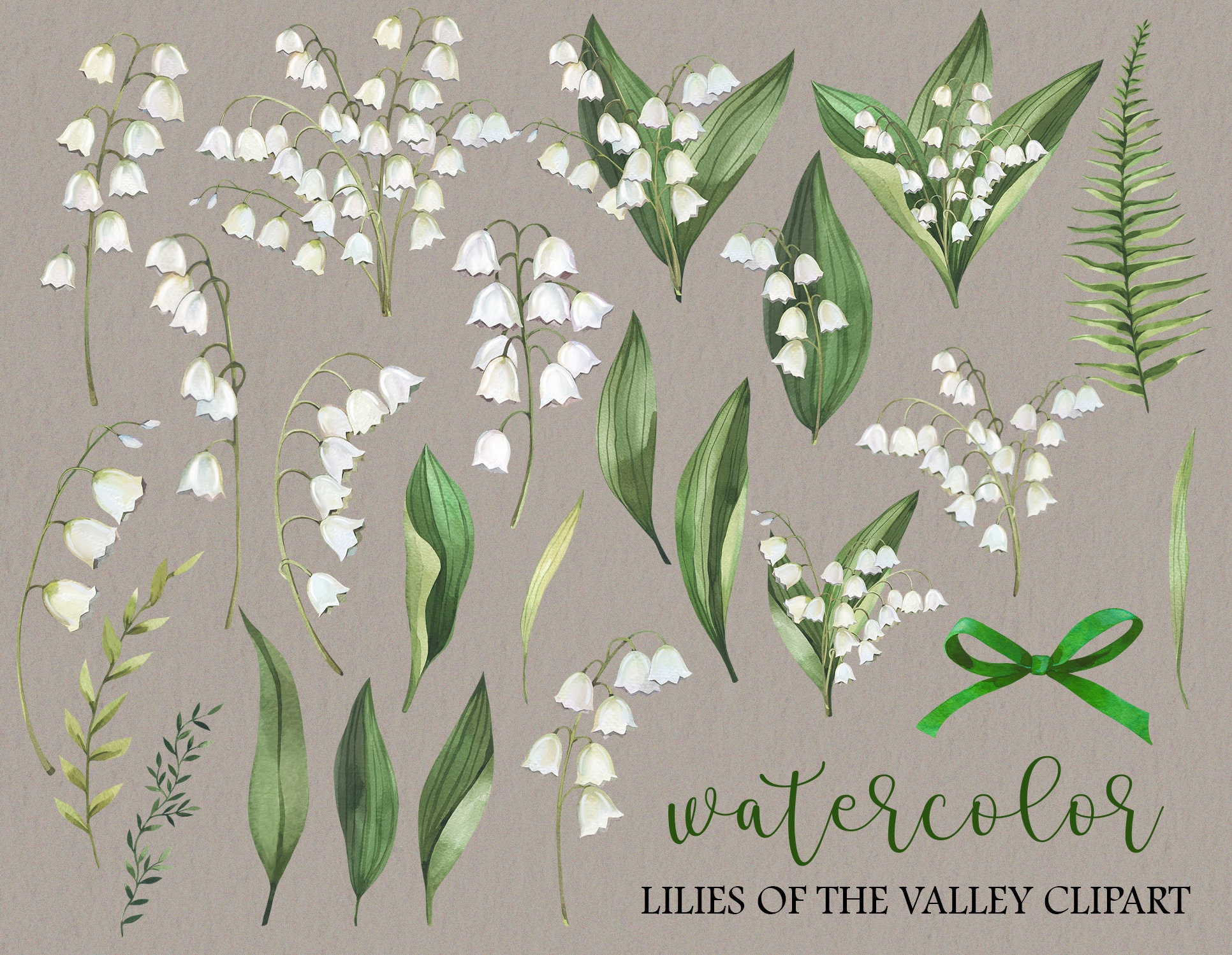 Watercolor Lily of the Valley Clipart Floral Clipart - Etsy
