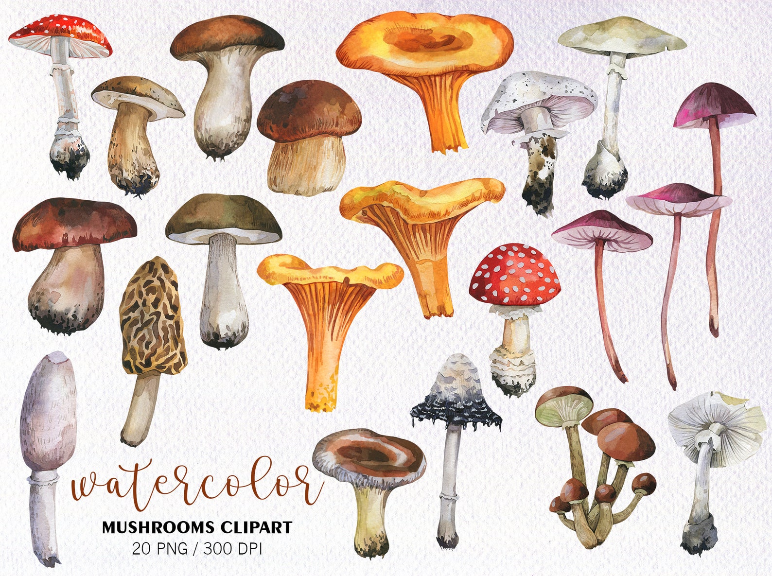 Watercolor Mushrooms Clipart Fall Clipart Thanksgiving - Etsy
