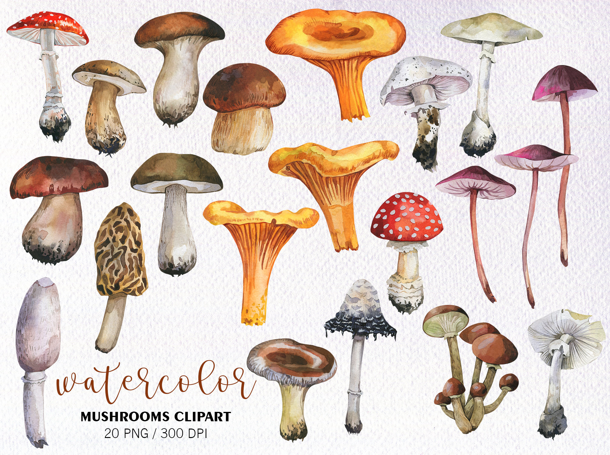 Watercolor Mushrooms Clipart, Fall Clipart, Thanksgiving Clipart, Fall ...