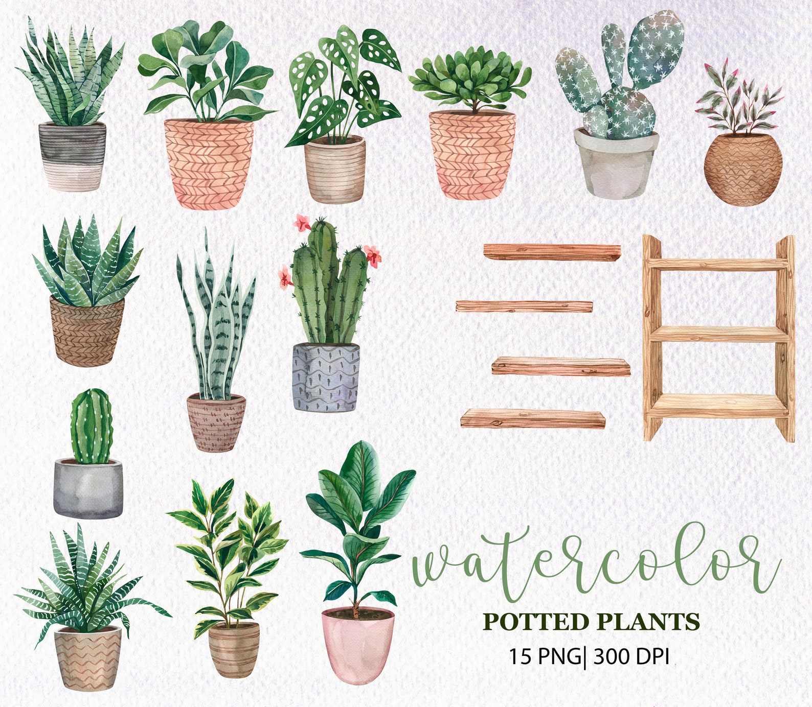 Watercolor Home Plants Clipart Potted Plants Clipart Cactus | Etsy