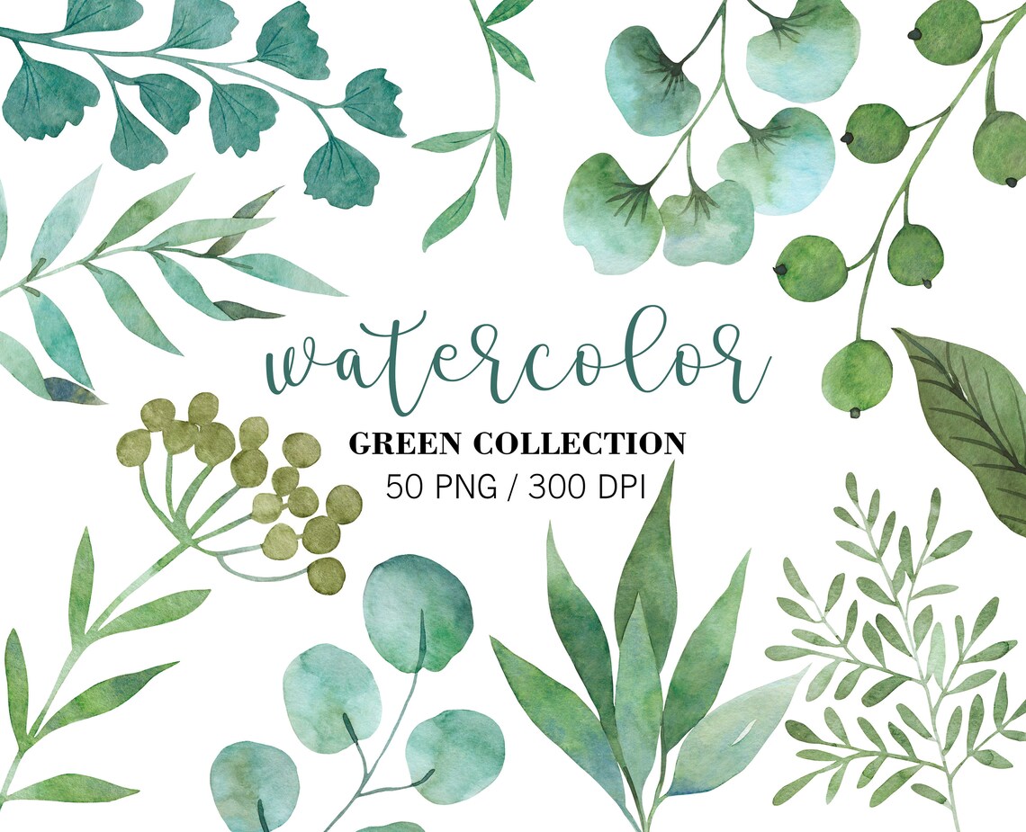 Watercolor Greenery Clipart Watercolor Leaves Green Foliage - Etsy