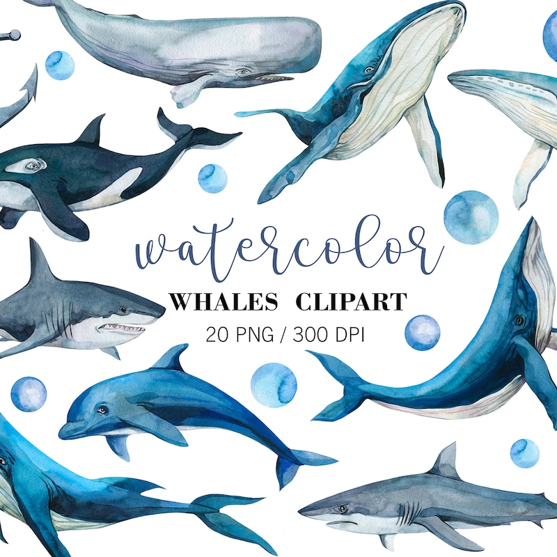 Watercolor Whale - Etsy