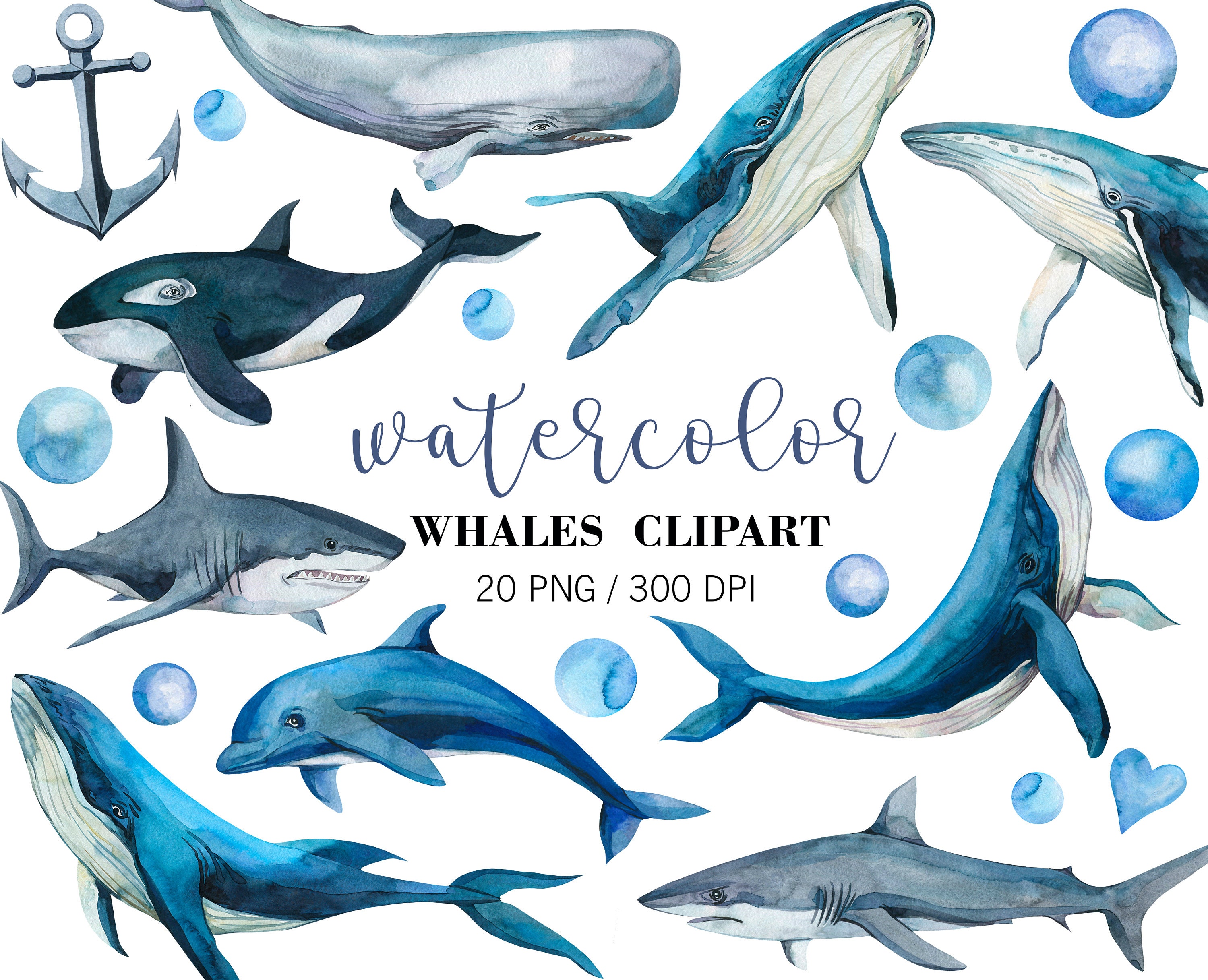 Watercolour Whale Clipart Dolphin Clipart Watercolor Sea | Etsy