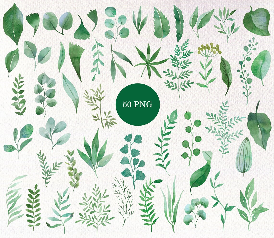 Watercolor Greenery Clipart Watercolor Leaves Green Foliage - Etsy