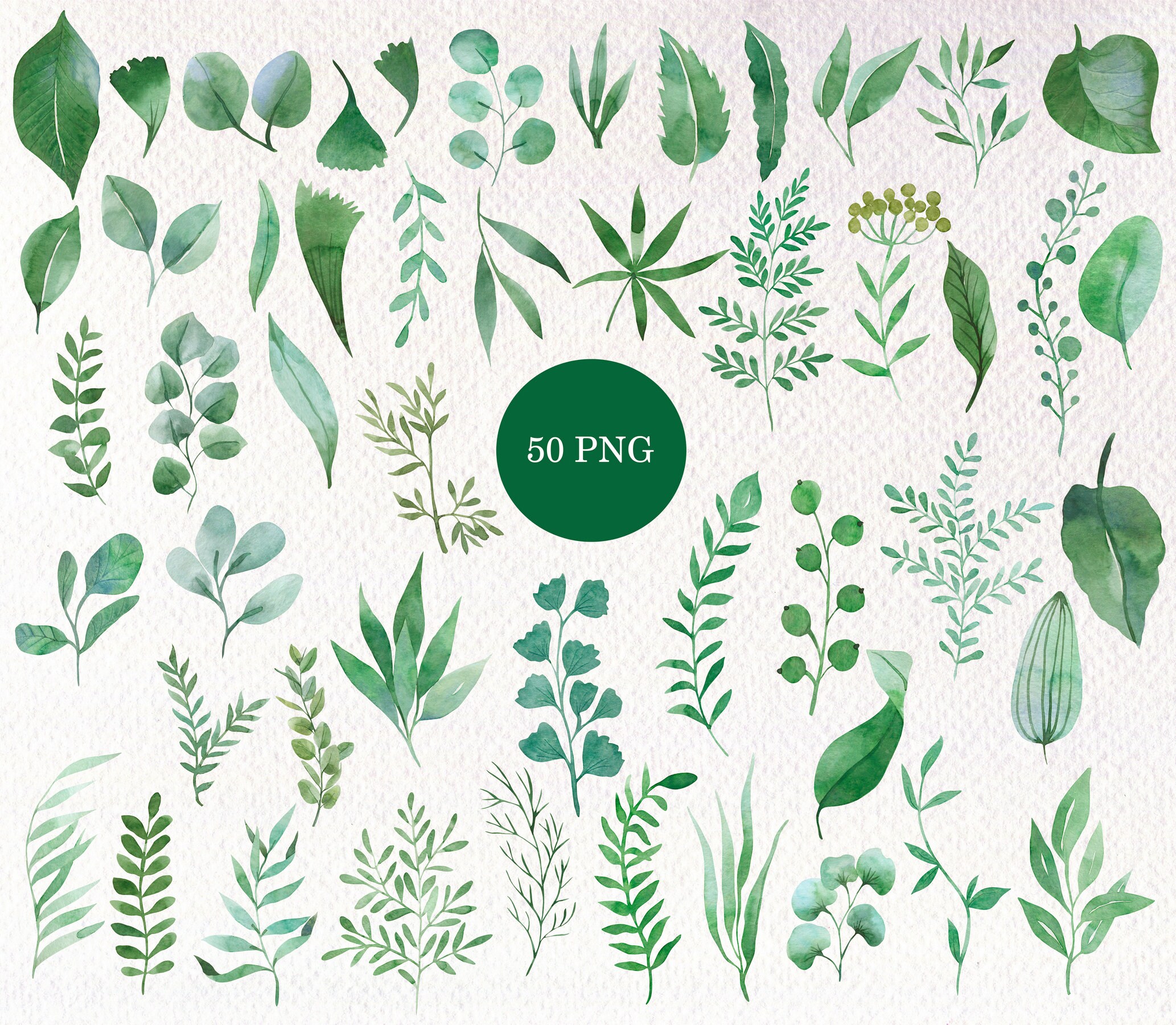 Watercolor Greenery Clipart Watercolor Leaves Green Foliage - Etsy