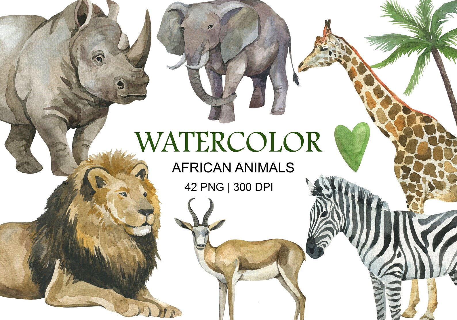 Watercolor African Animals Clipart Savannah Animals Wild - Etsy