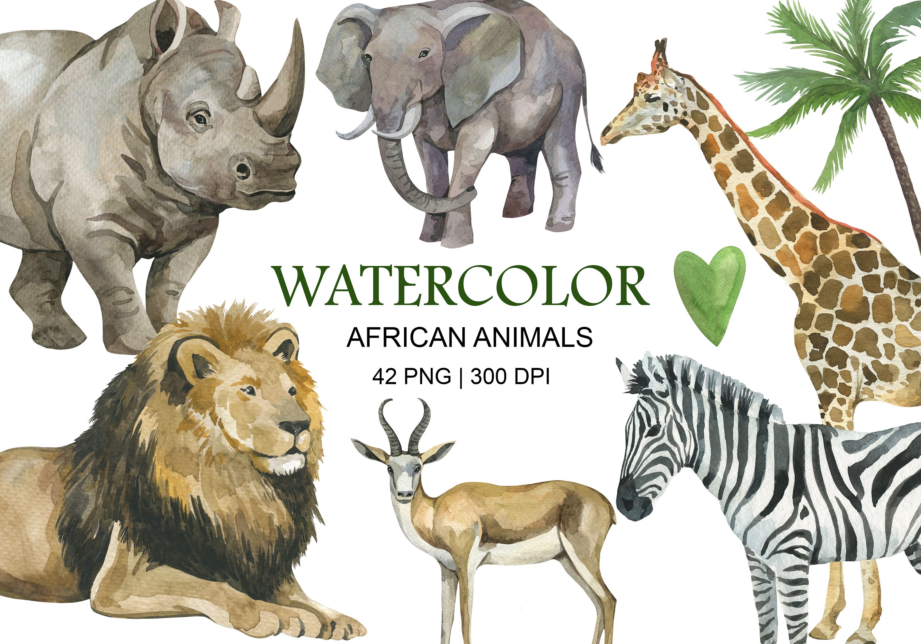 Watercolor African Animals Clipart, Savannah Animals, Wild Life, PNG ...