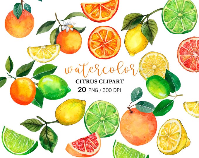 Watercolor Citrus Clipart, Lemon Fruit Illustration, Grapefruit Artwork ...