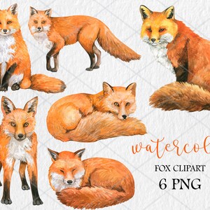 Watercolor Fox Clipart, Animals Clipart, PNG Nursery Decor, Forest ...