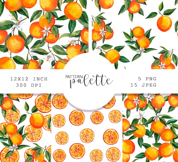 Watercolor Oranges Seamless Patterns Oranges Clipart PNG - Etsy