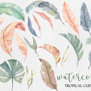 Watercolor Tropical Leaves Clipart, Tropics Clipart, Greenery Clipart ...
