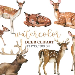 Watercolor Deer Clipart, Nursery Decor, Deer PNG, Watercolor Animals ...