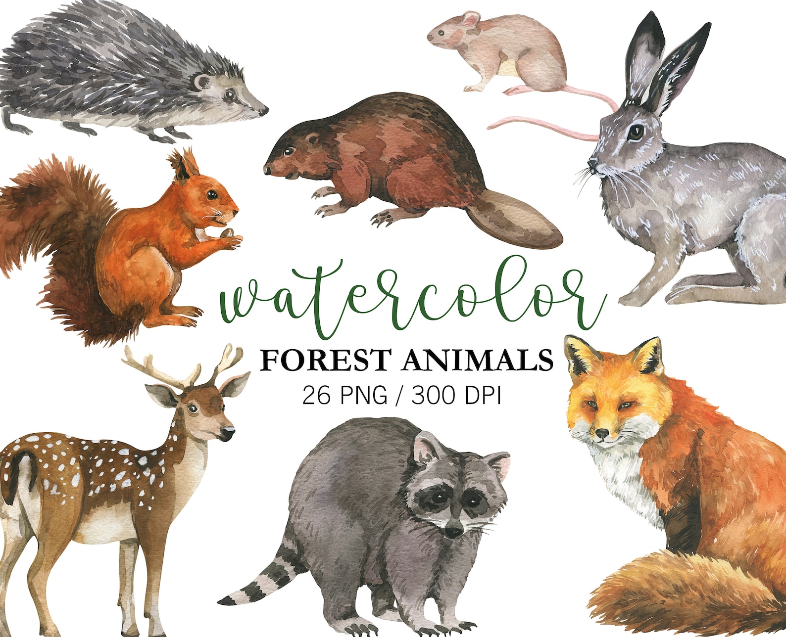 Watercolor Forest Animal Clipart PNG Watercolor Forest - Etsy