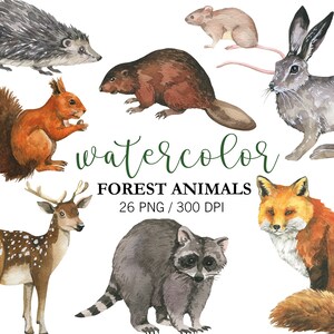 Watercolor Forest Animal Clipart, PNG, Watercolor Forest Animals ...