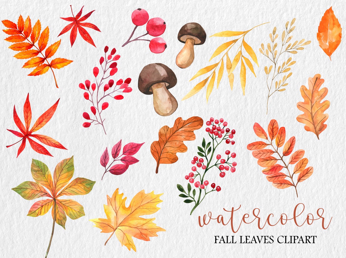 Watercolor Autumn Leaves Clipart Hand Painted Fall Leaf - Etsy