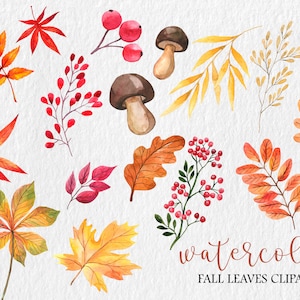 Watercolor Autumn Leaves Clipart, Hand Painted, Fall Leaf, Autumn Decor ...