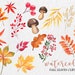 Watercolor Autumn Leaves Clipart Hand Painted Fall Leaf - Etsy