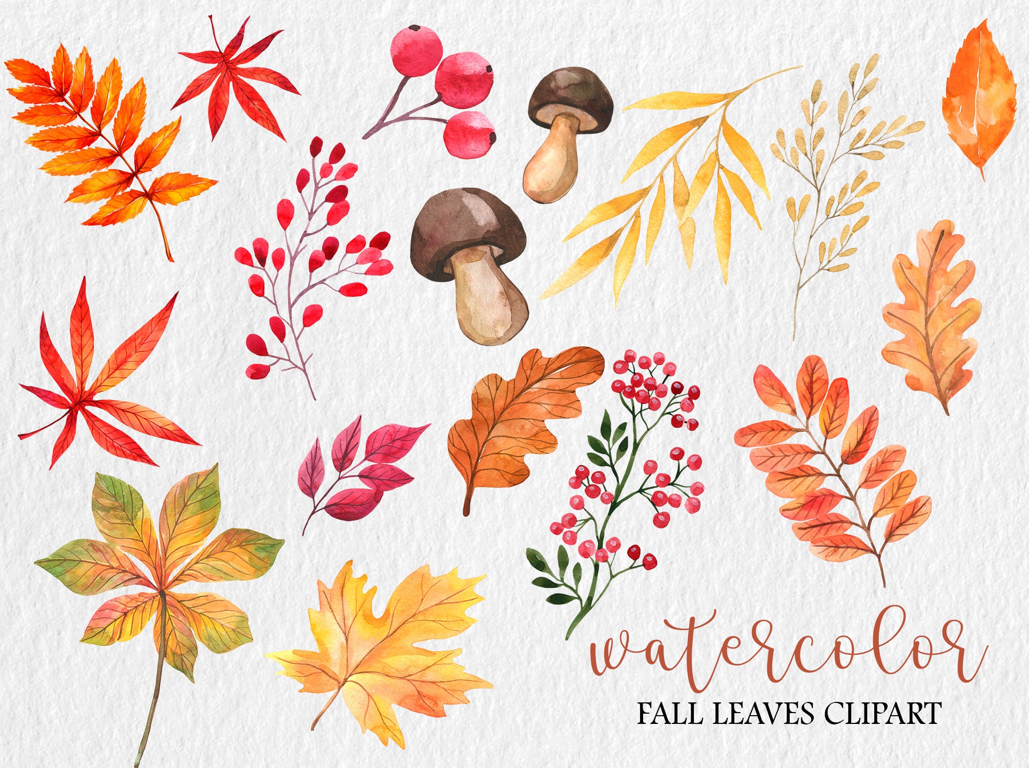 Watercolor Autumn Leaves Clipart Hand Painted Fall Leaf - Etsy