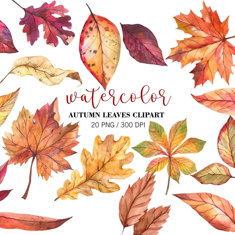 Fall Leaves Clipart - Etsy