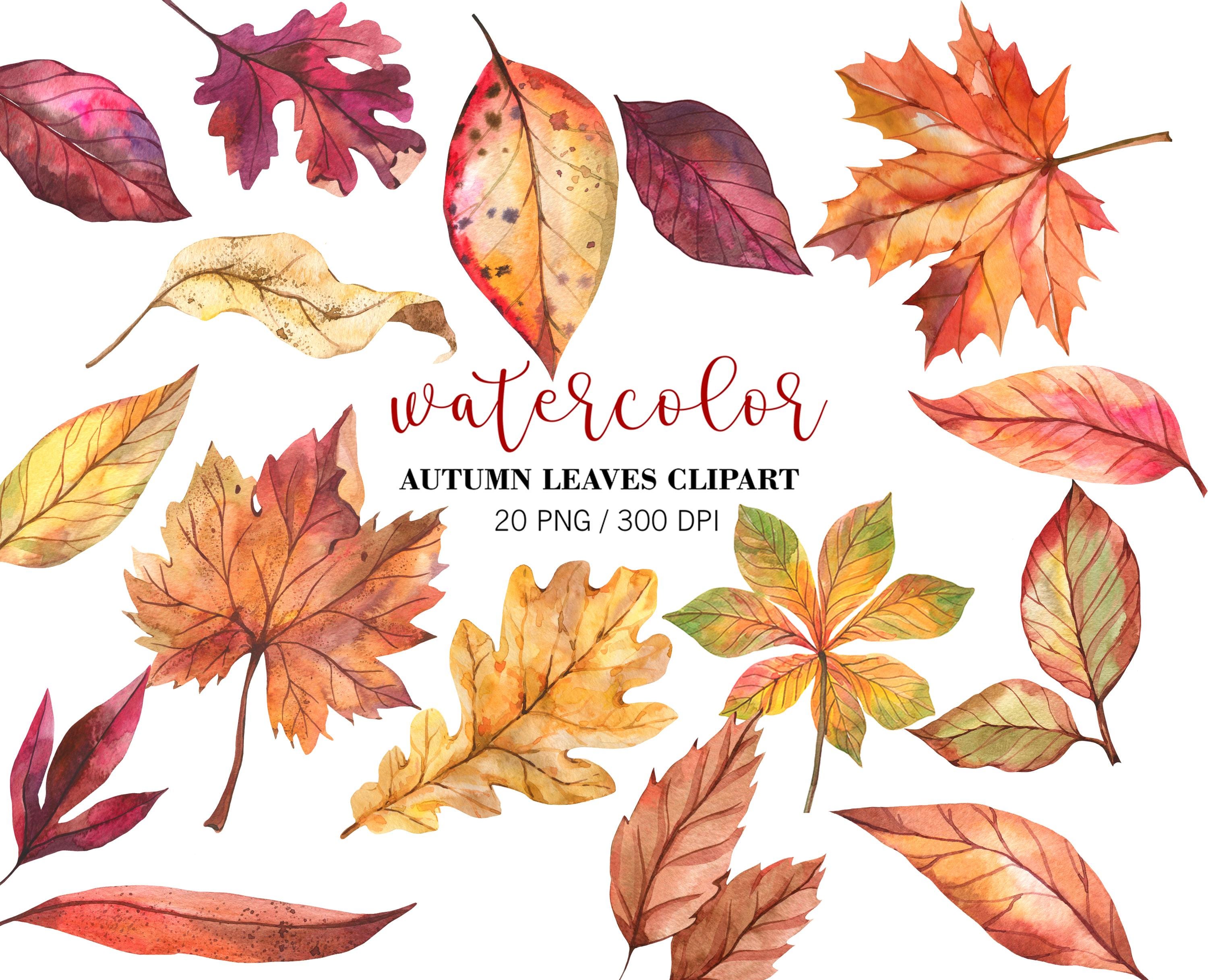 Watercolor Fall Leaves Clipart PNG, Hand Painted Fall Clipart, Autumn ...
