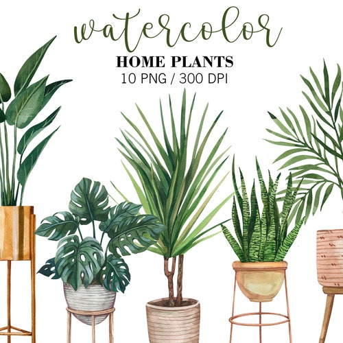 Watercolor House Plants Clipart Indoor Plants Greenery Home - Etsy